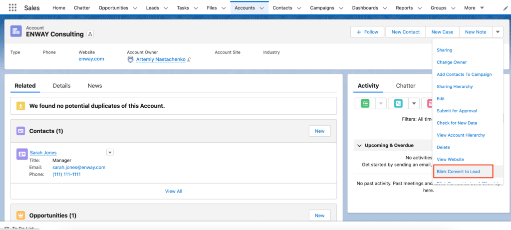 Convert Accounts and Contacts to Leads Easily With the Blink App ...